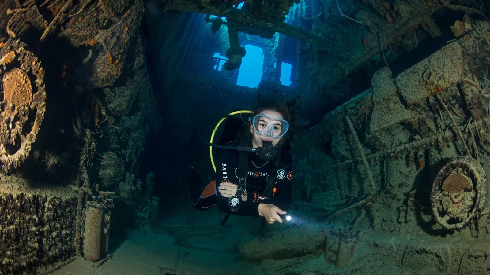Dive Bermuda at Somerset | Bermuda's Premier Dive Centers