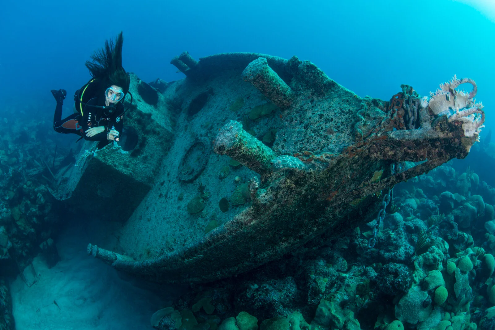 Dive Bermuda at Somerset | Bermuda's Premier Dive Centers