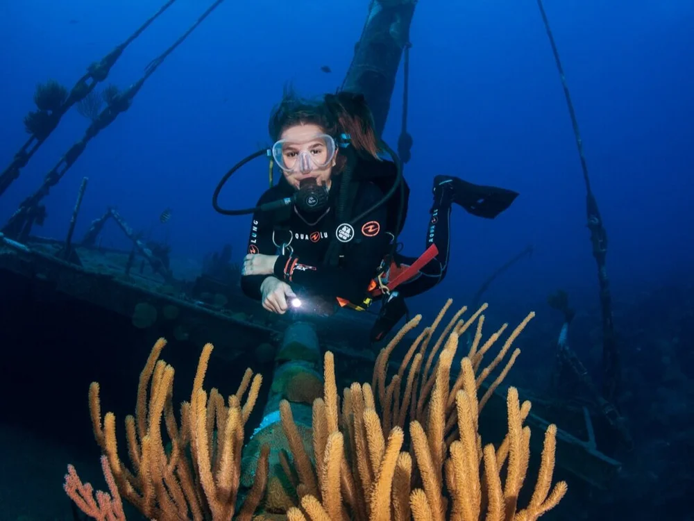 Dive Bermuda at Somerset | Bermuda's Premier Dive Centers