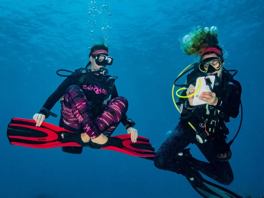 Dive Bermuda at Somerset | Bermuda's Premier Dive Centers