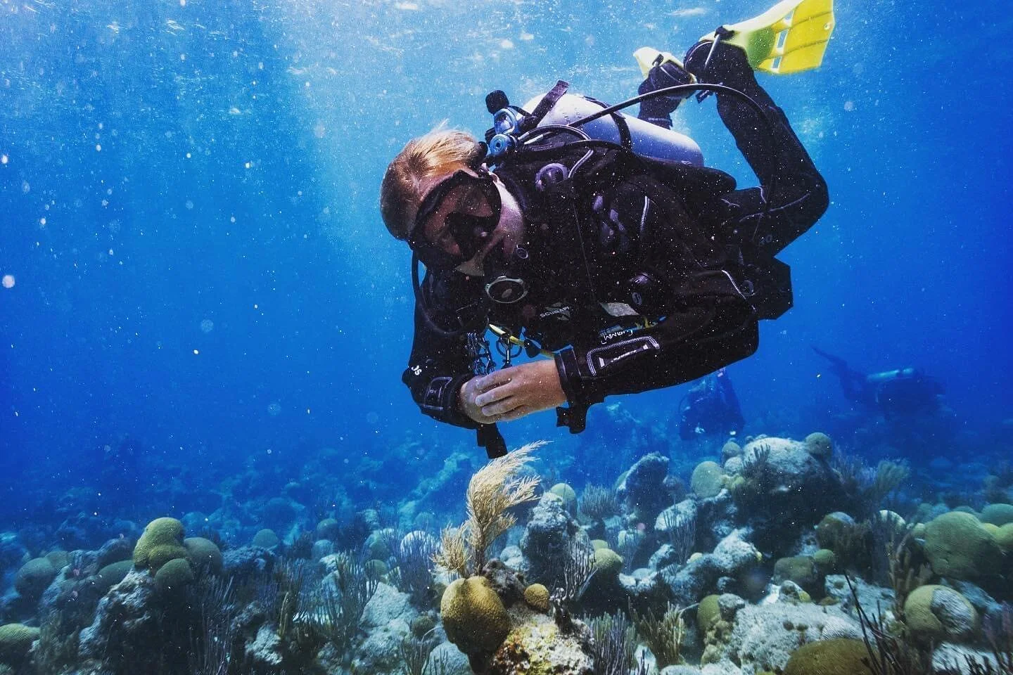 Book Online — Dive Bermuda at Somerset
