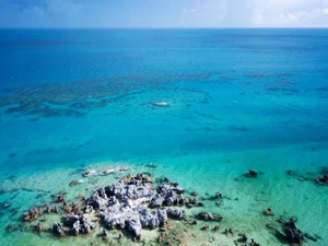 Dive Bermuda at Somerset | Bermuda's Premier Dive Centers