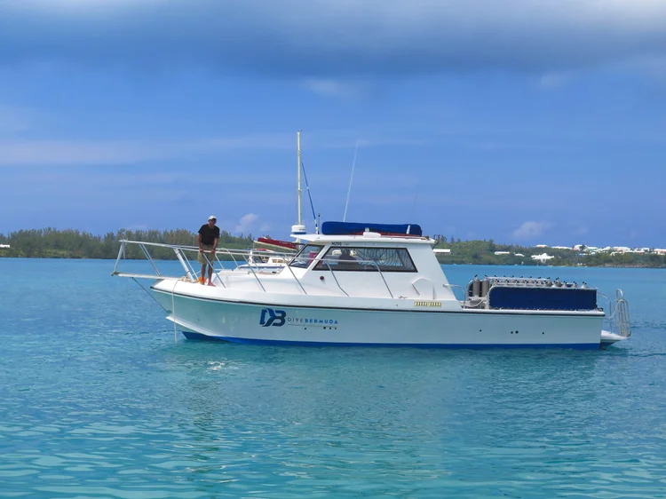 The Dive Center — Dive Bermuda at Somerset