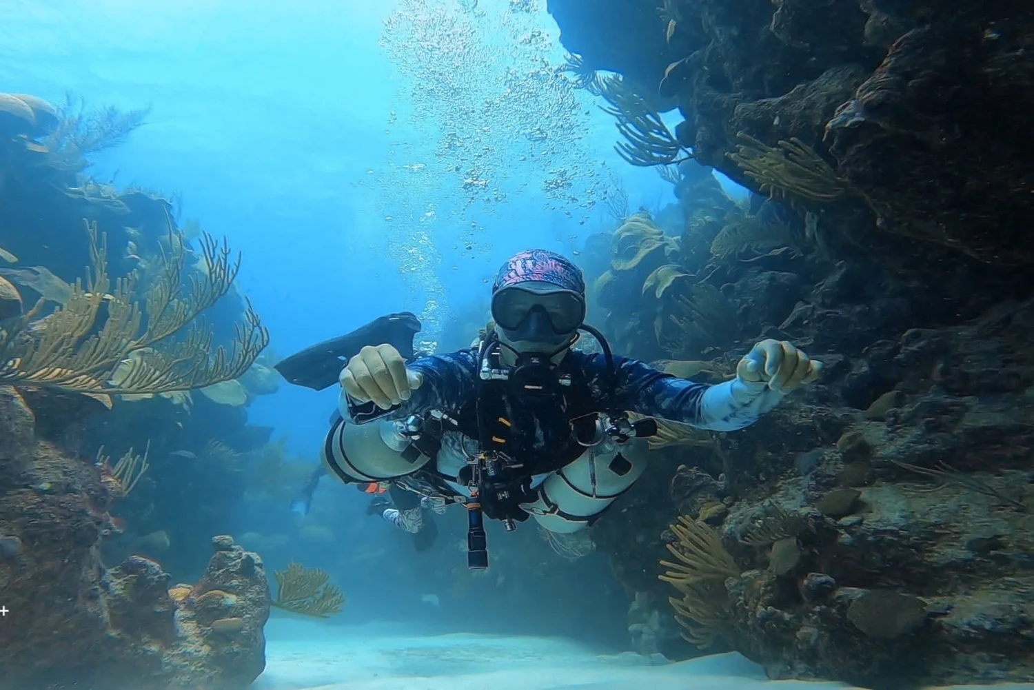 The Dive Center — Dive Bermuda at Somerset