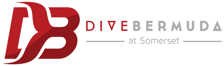 Go Diving — Dive Bermuda at Somerset