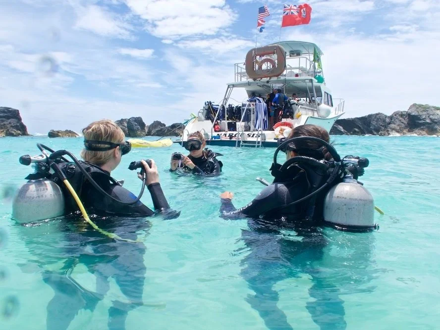 Dive Bermuda at Somerset | Bermuda's Premier Dive Centers