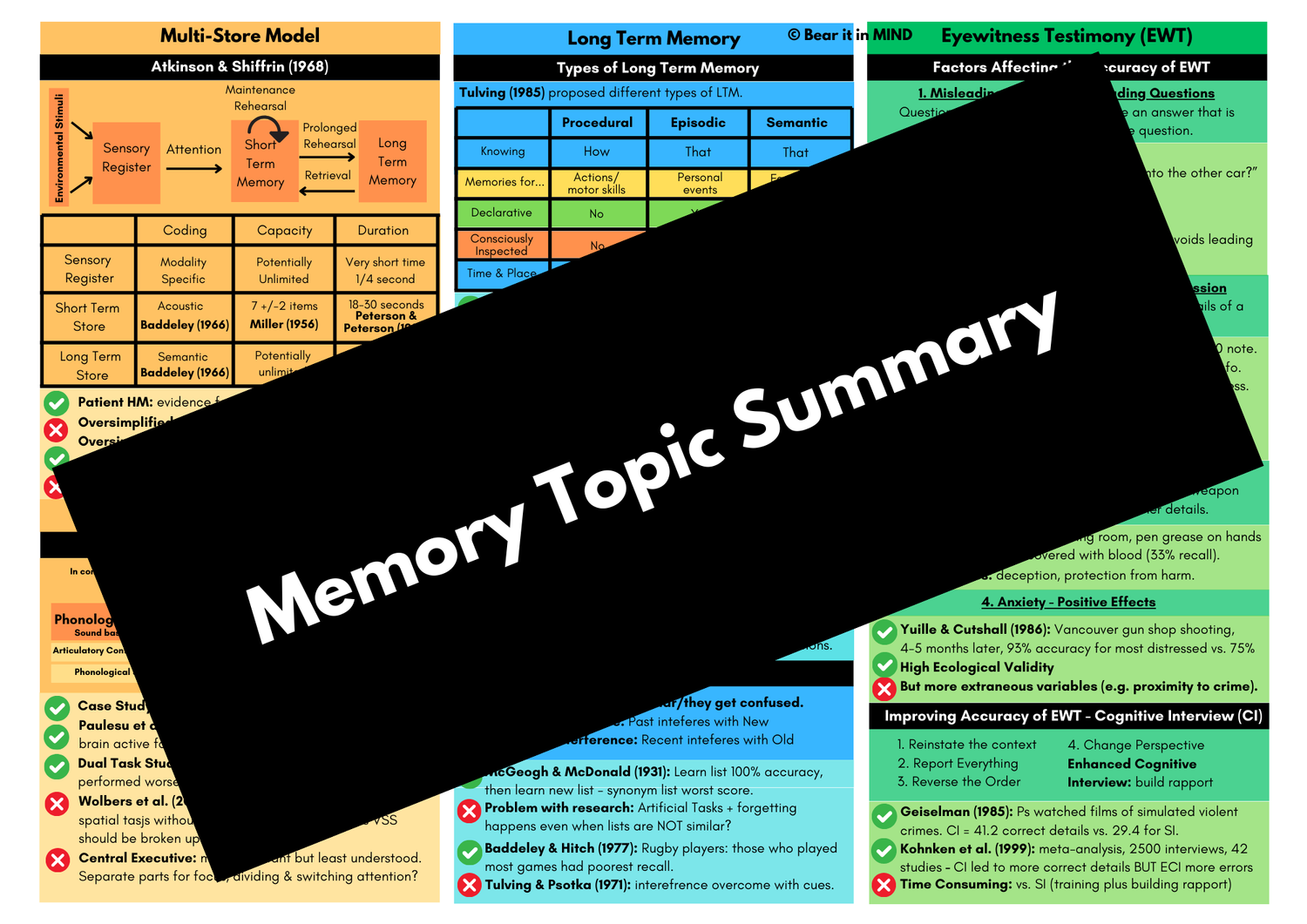 Biopsychology Summary