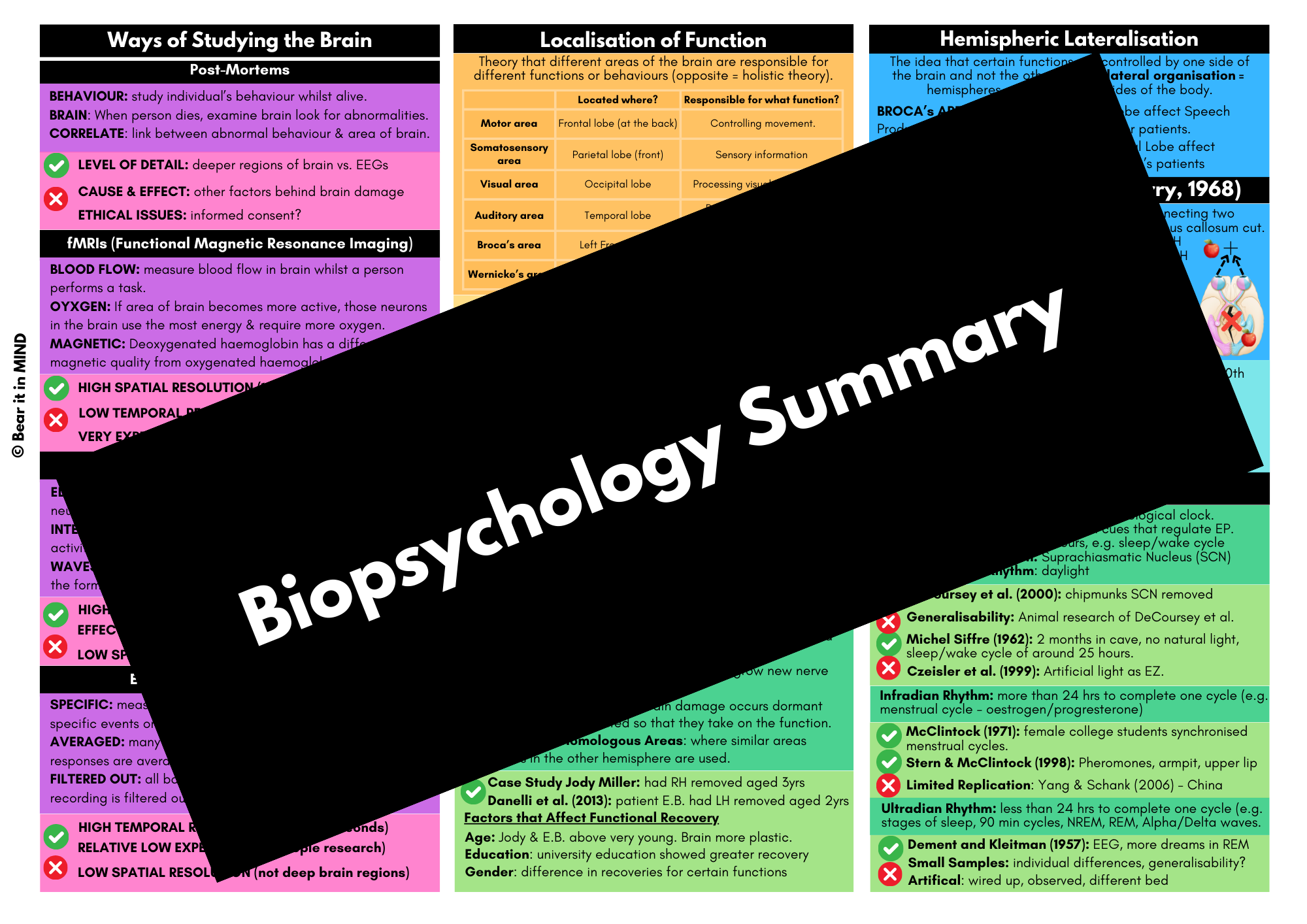 Biopsychology Summary
