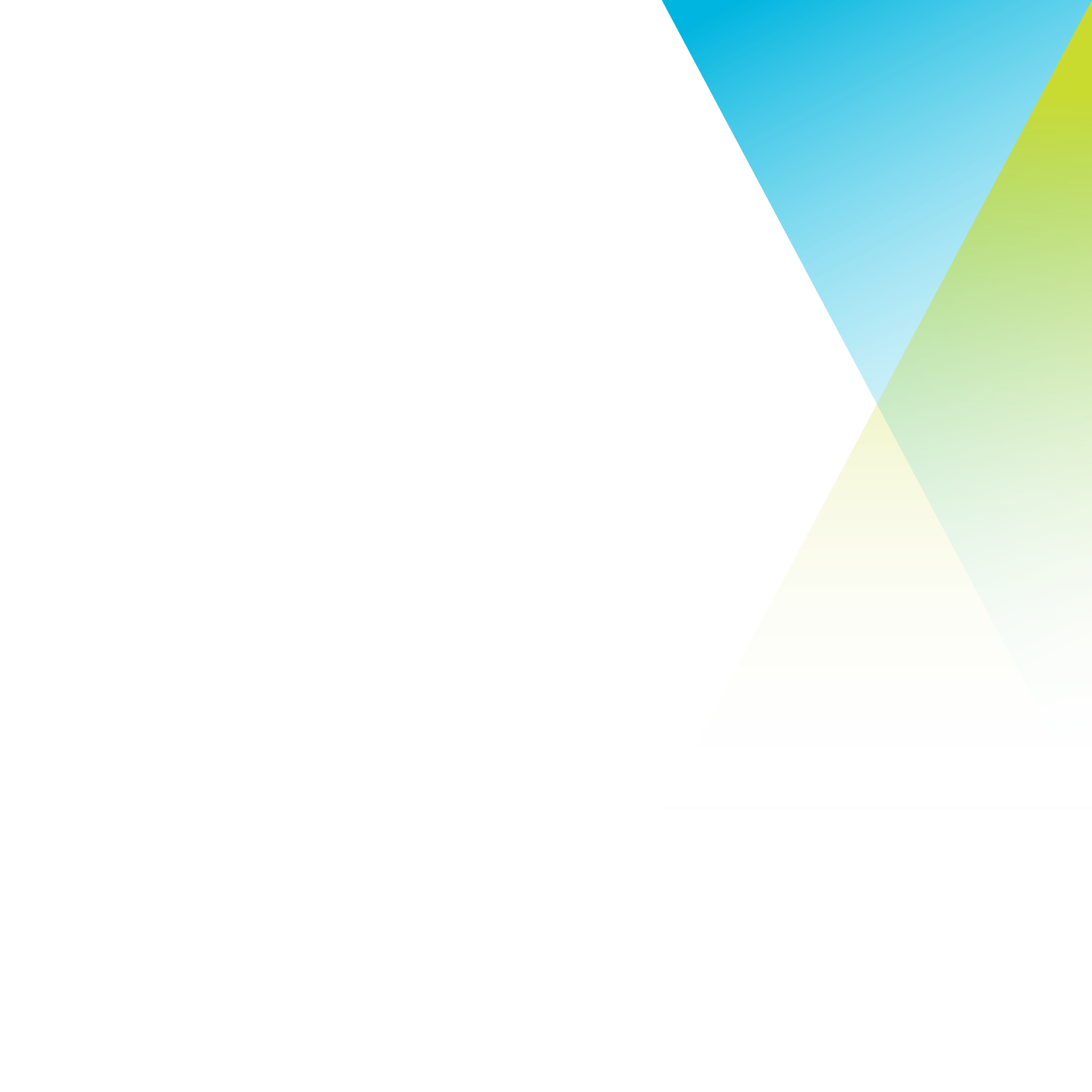 Leadership — Center for Independent Employees