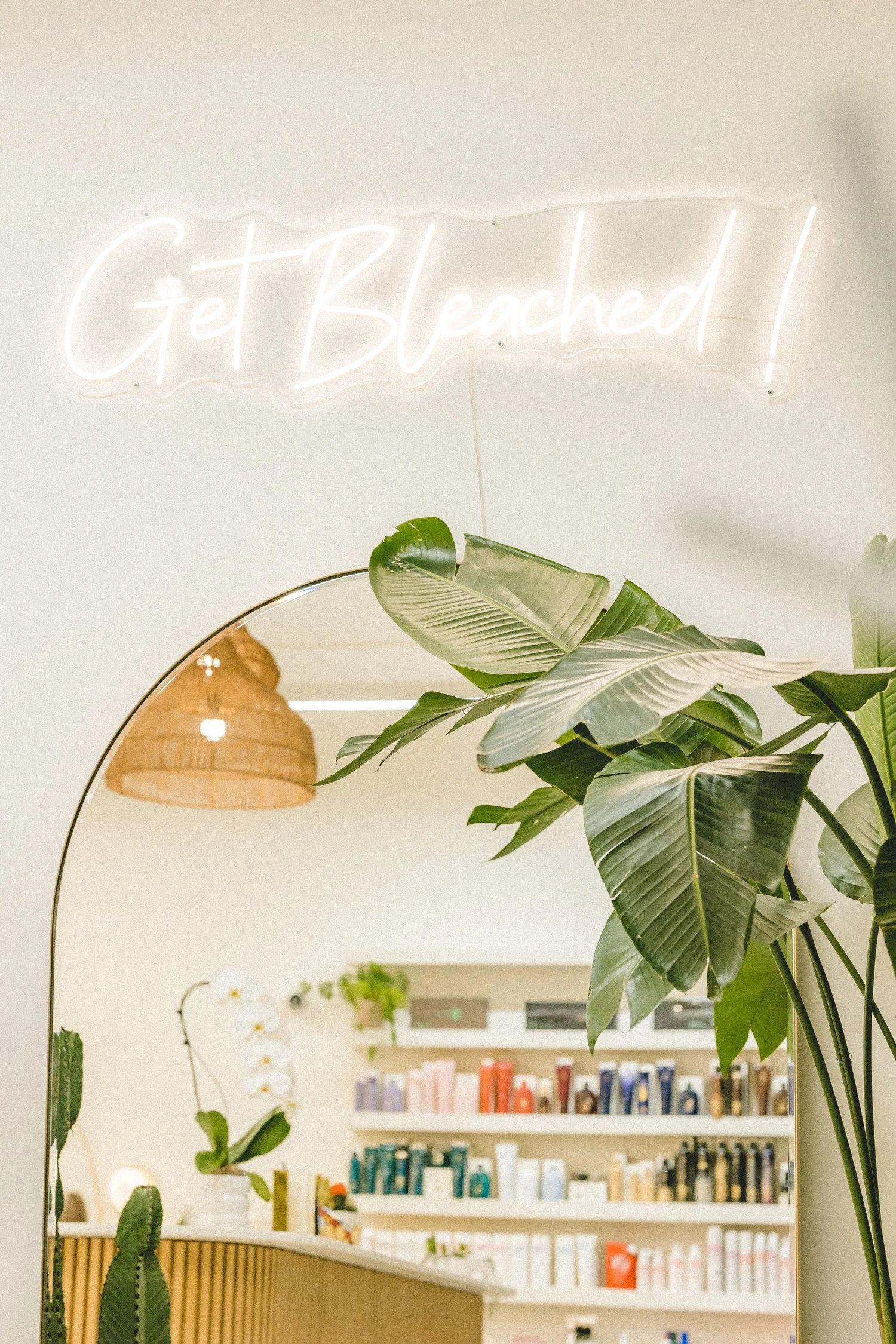 Luxury Bleached Salon