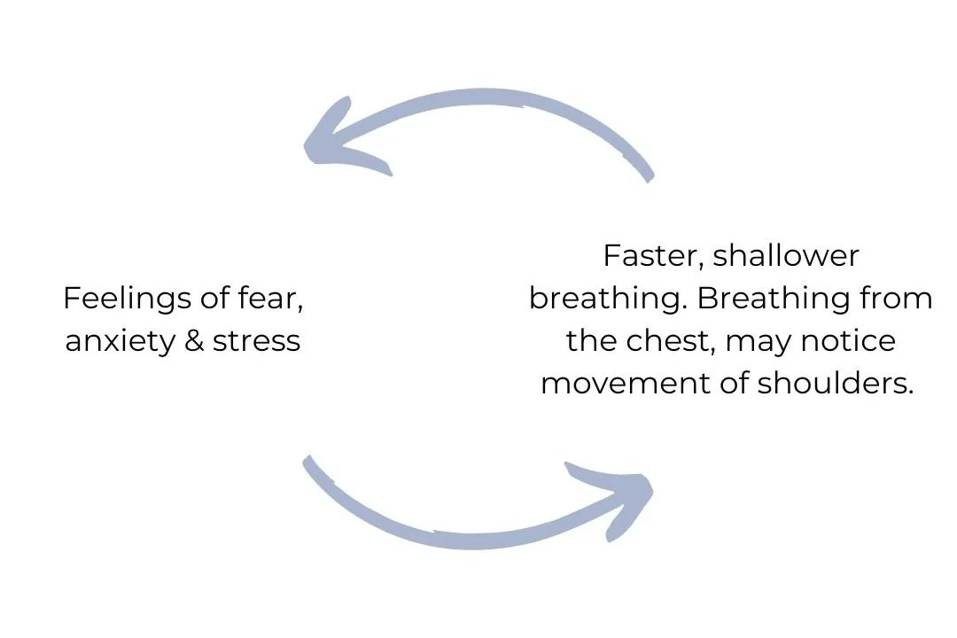 The Power of the Breath