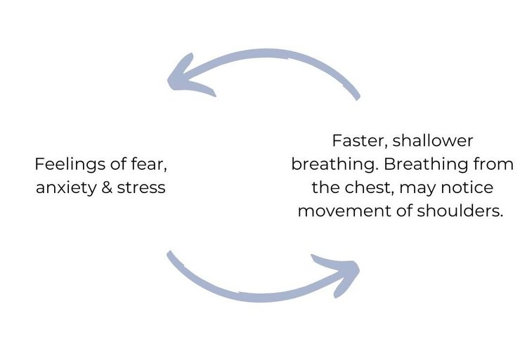 The Power of the Breath