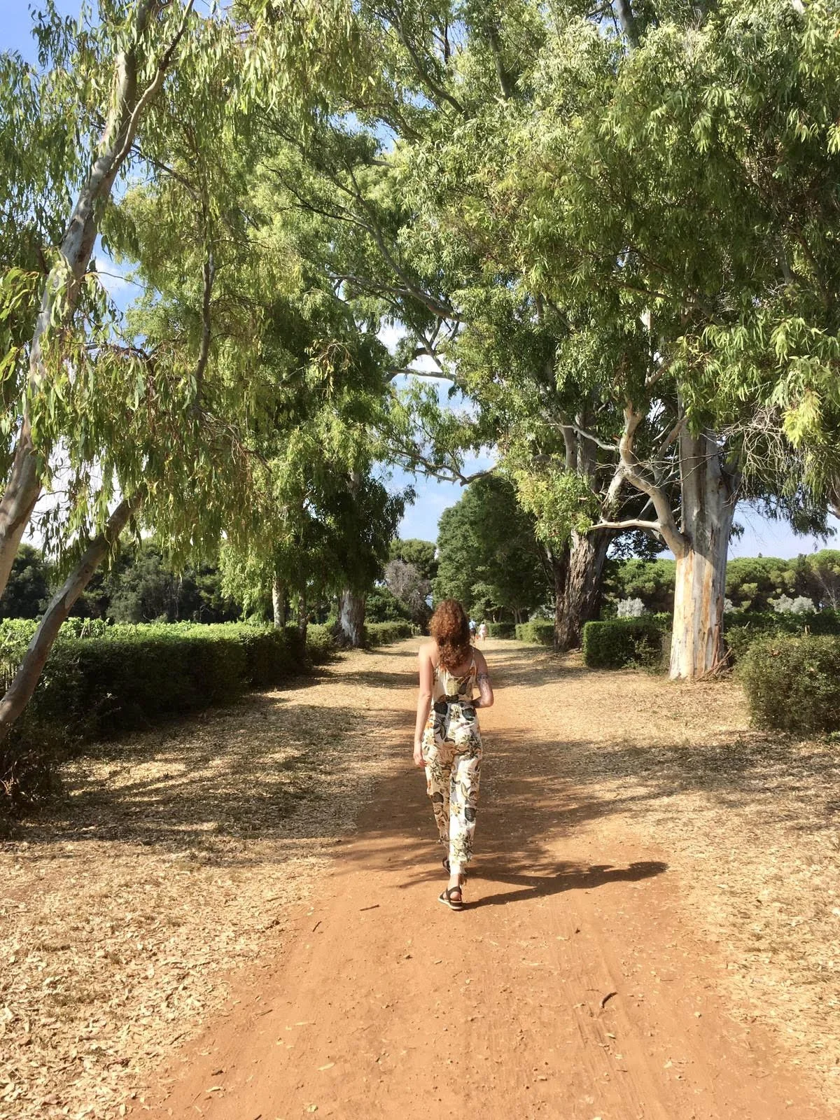 The Five Best Day Trips From Nice - Alta Adventures