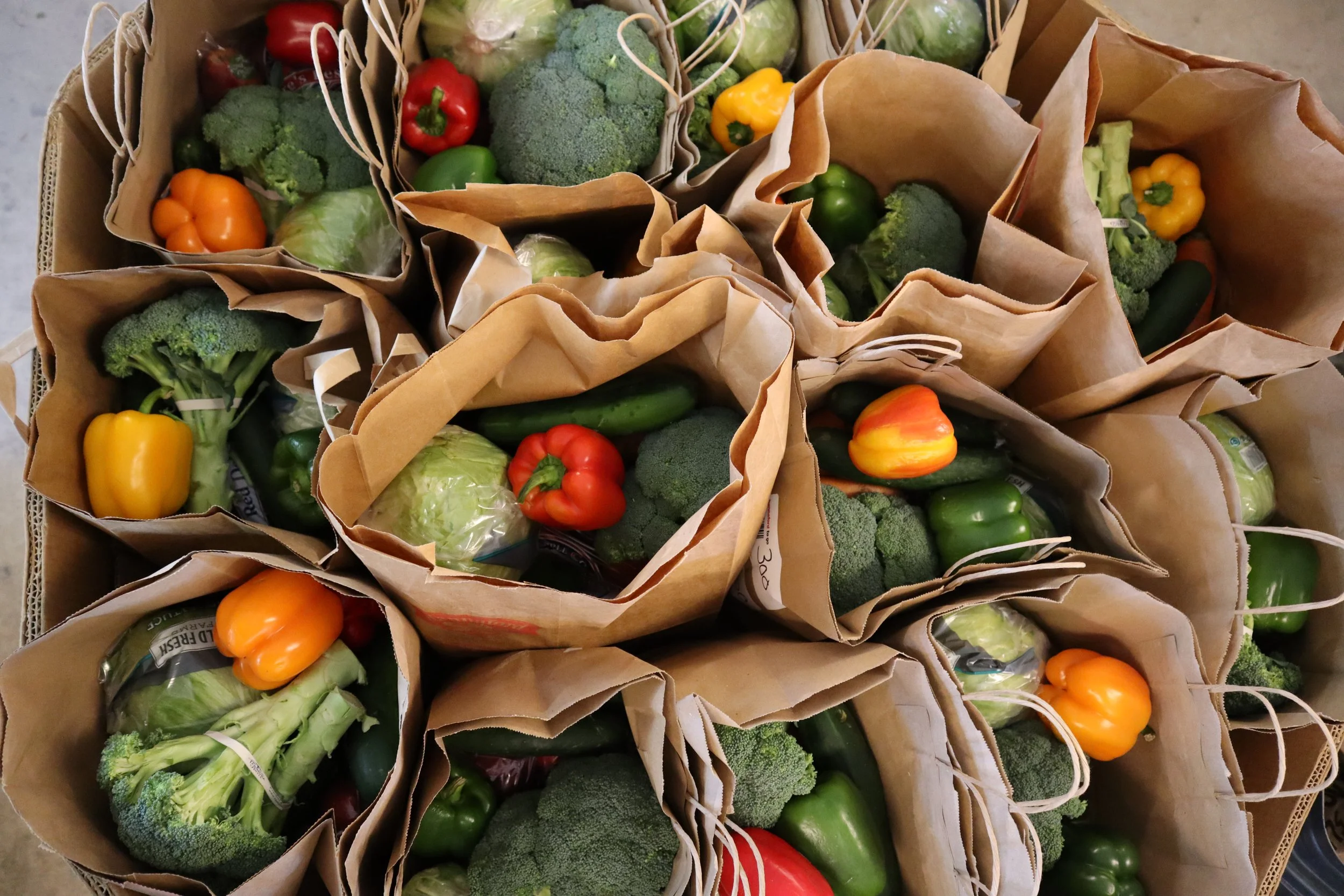 Mid Coast Hunger Prevention Program