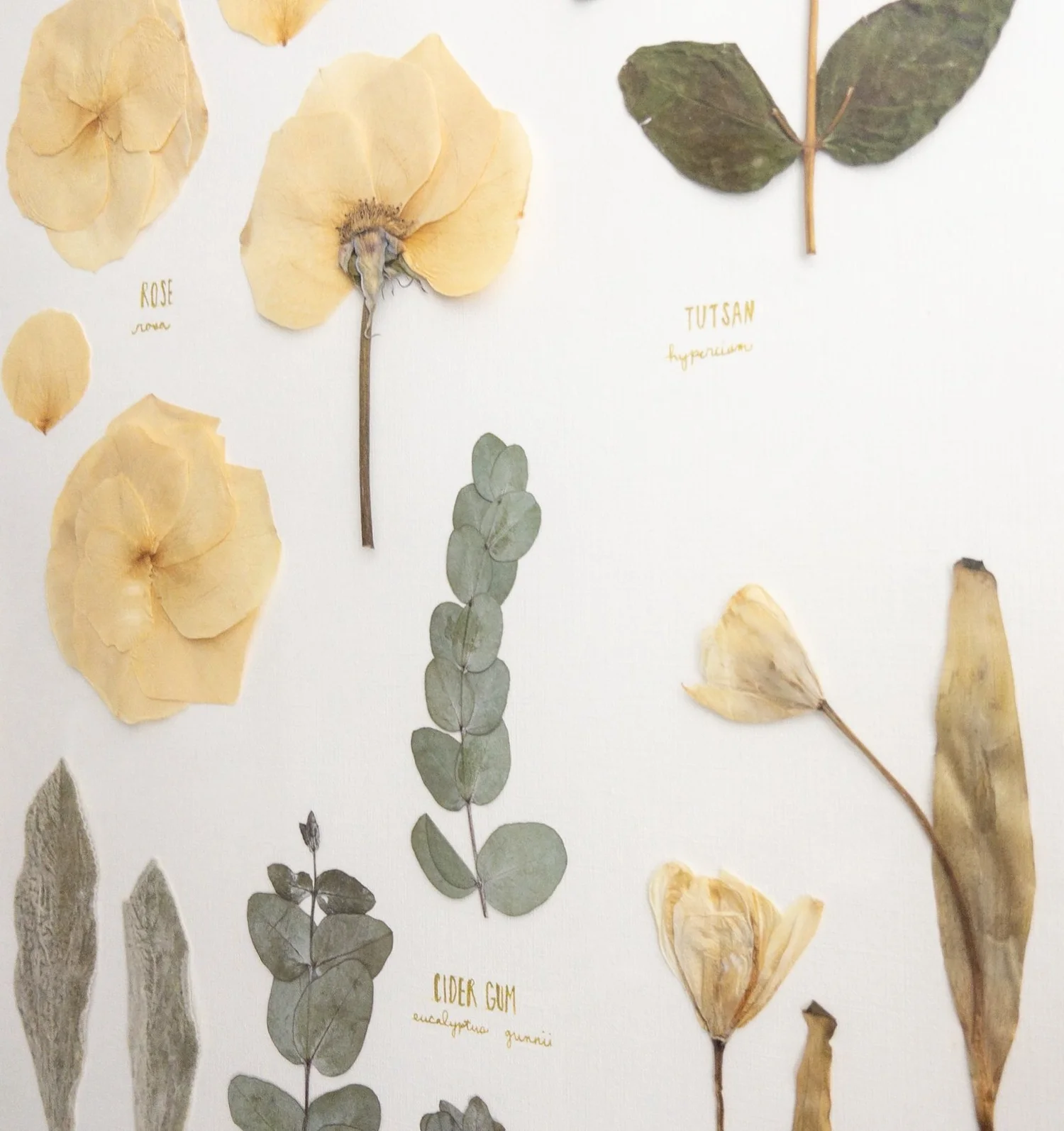 Preserved Bouquet Art by The Botany Society