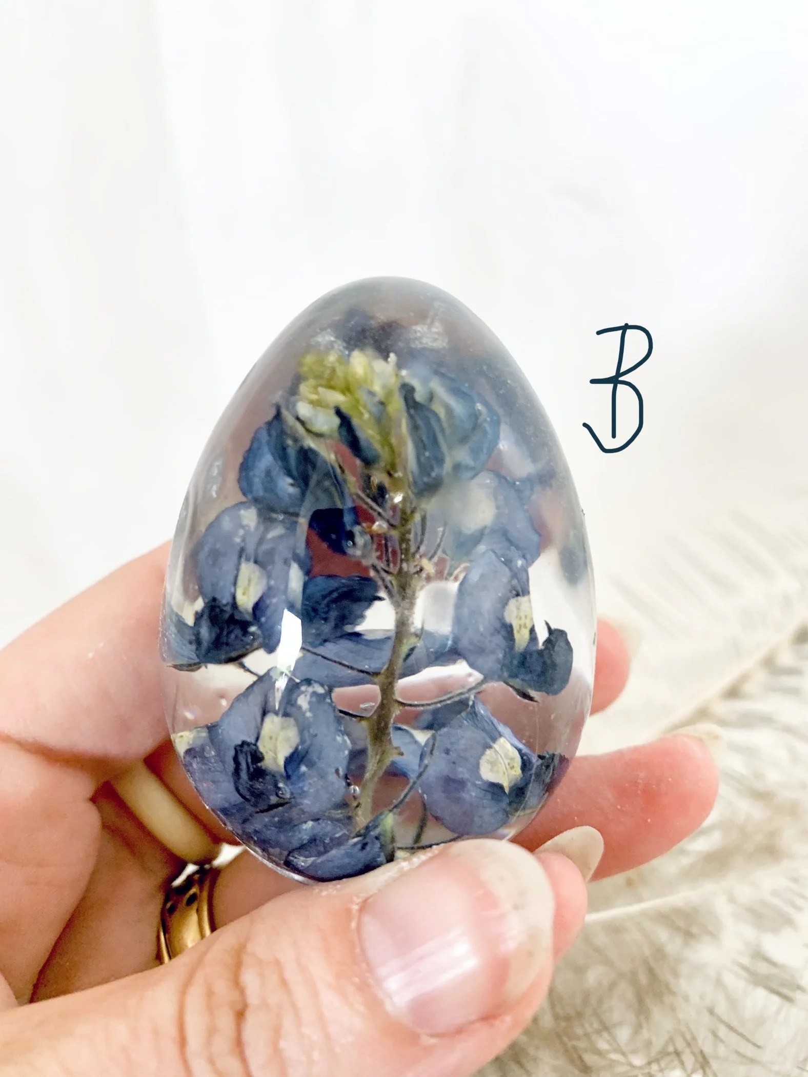 Studio Shop — The Botany Society