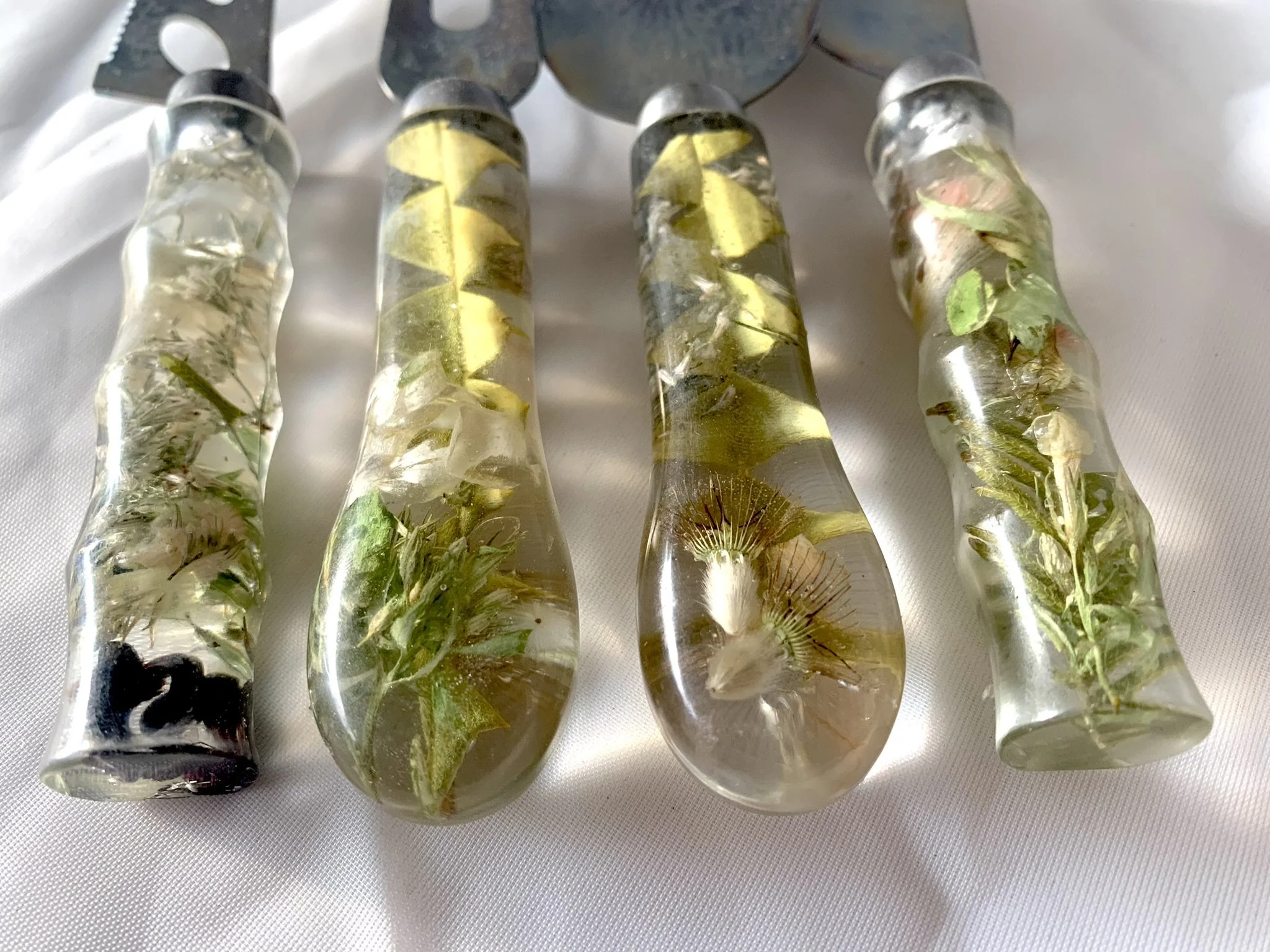 Texas Bouquet Preservation — The Botany Society