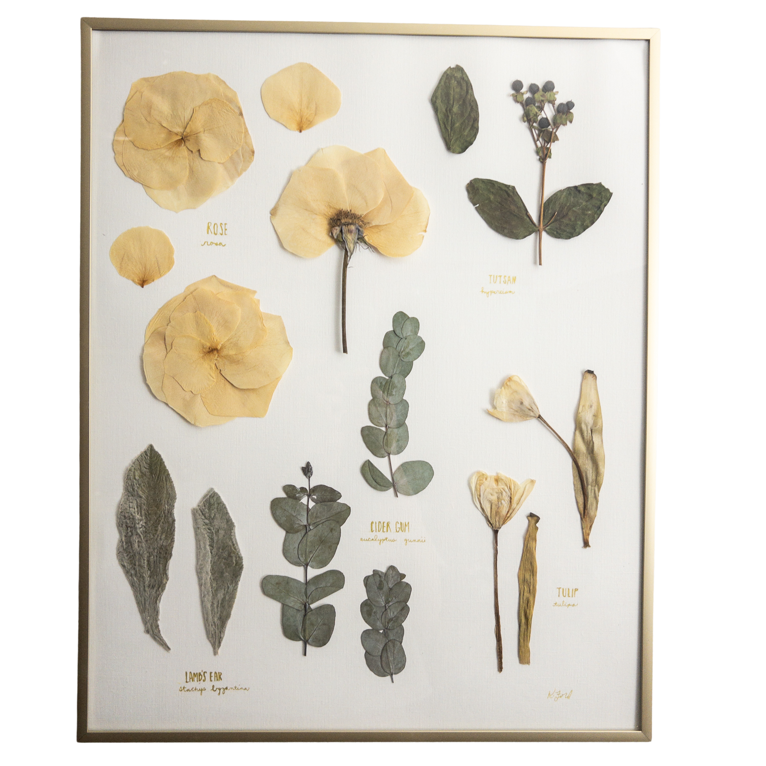 Preserved Bouquet Art by The Botany Society