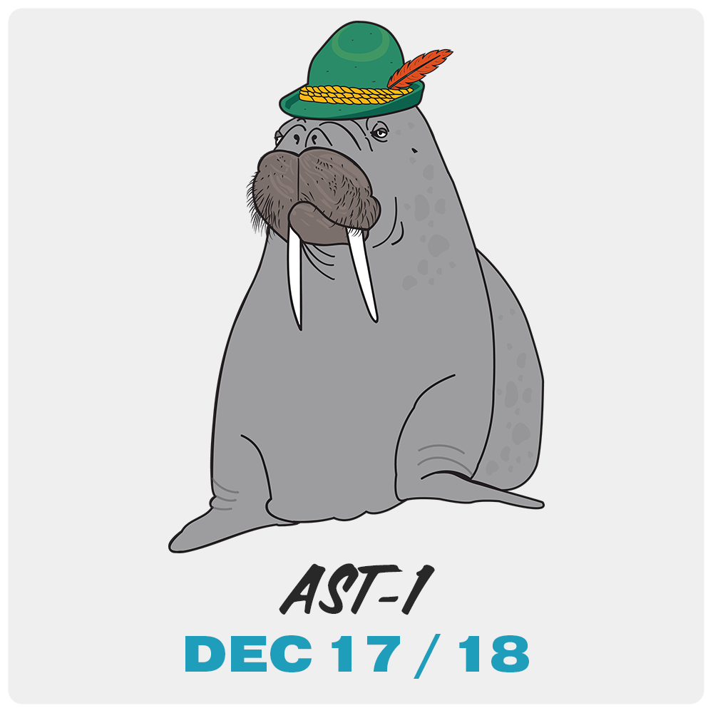 About AWT — Alpine Walrus - AST Avalanche Skills Training, Big White ...