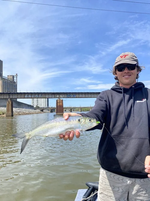 RVA James River Fishing Report
