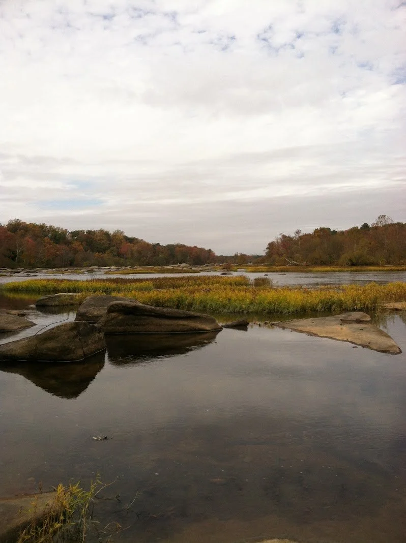 Pony Pasture — RVA James River Fishing Report