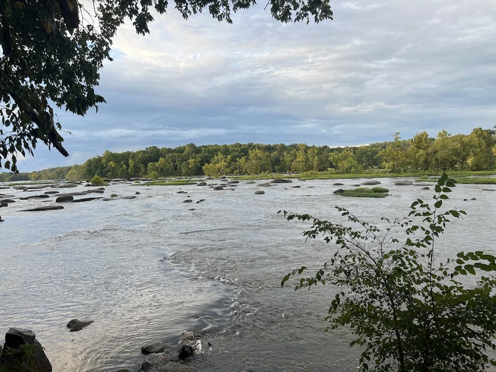 Pony Pasture — RVA James River Fishing Report