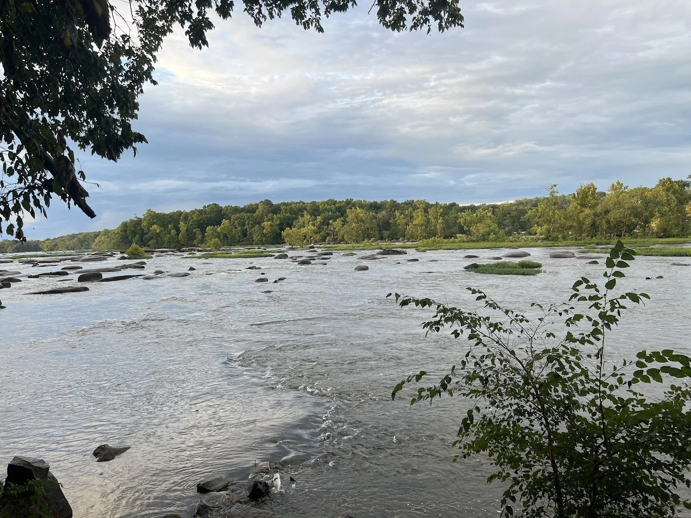 Pony Pasture — RVA James River Fishing Report
