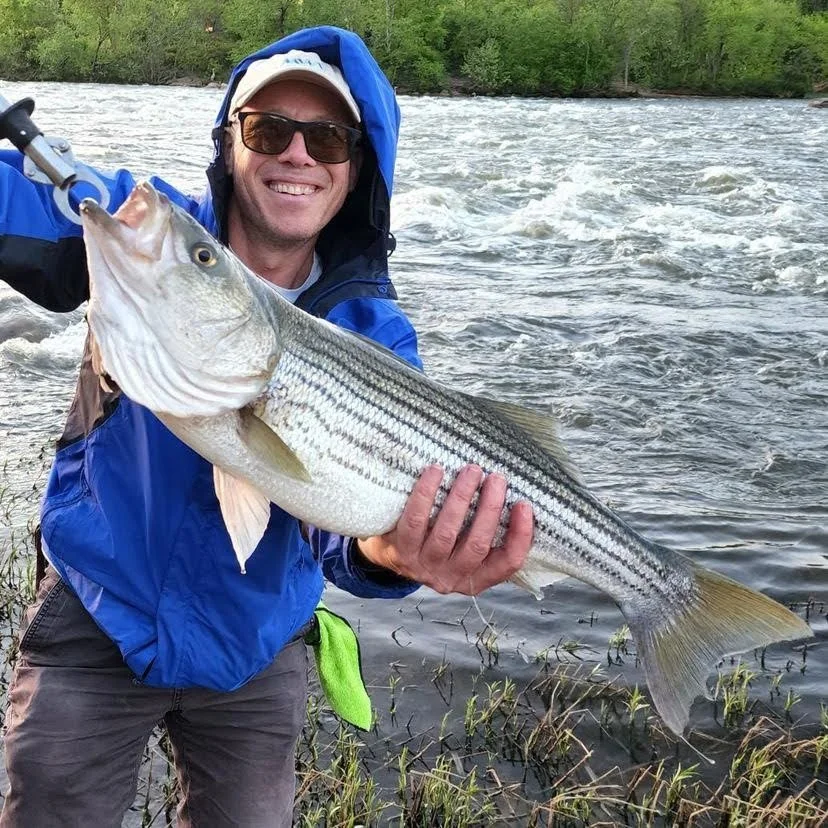 RVA James River Fishing Report