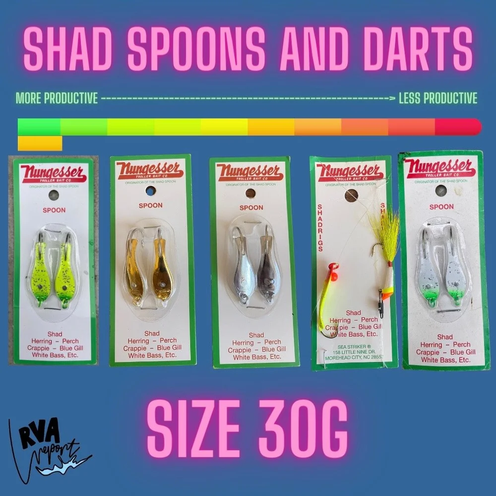 How to fish for shad in the James River — RVA James River Fishing Report