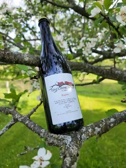 Uncommon Kin Cidery
