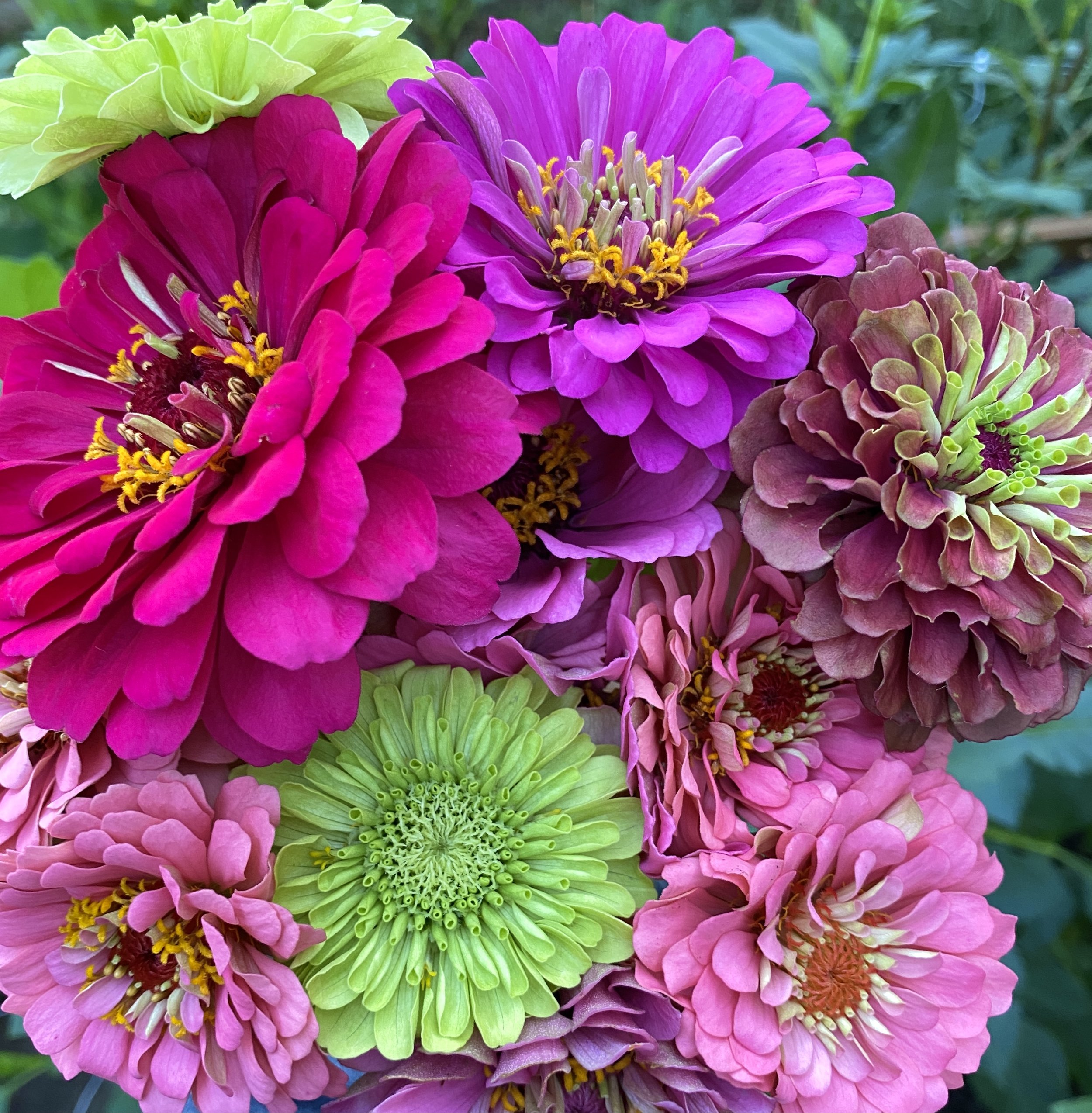 Store 1 — Mac Gardner Flower Farm