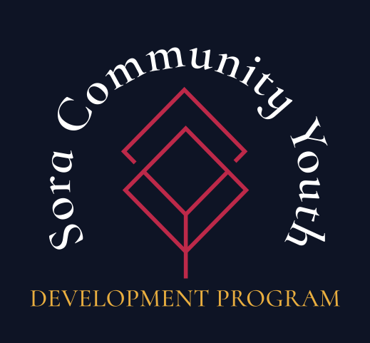 Blue Youth Development Gor