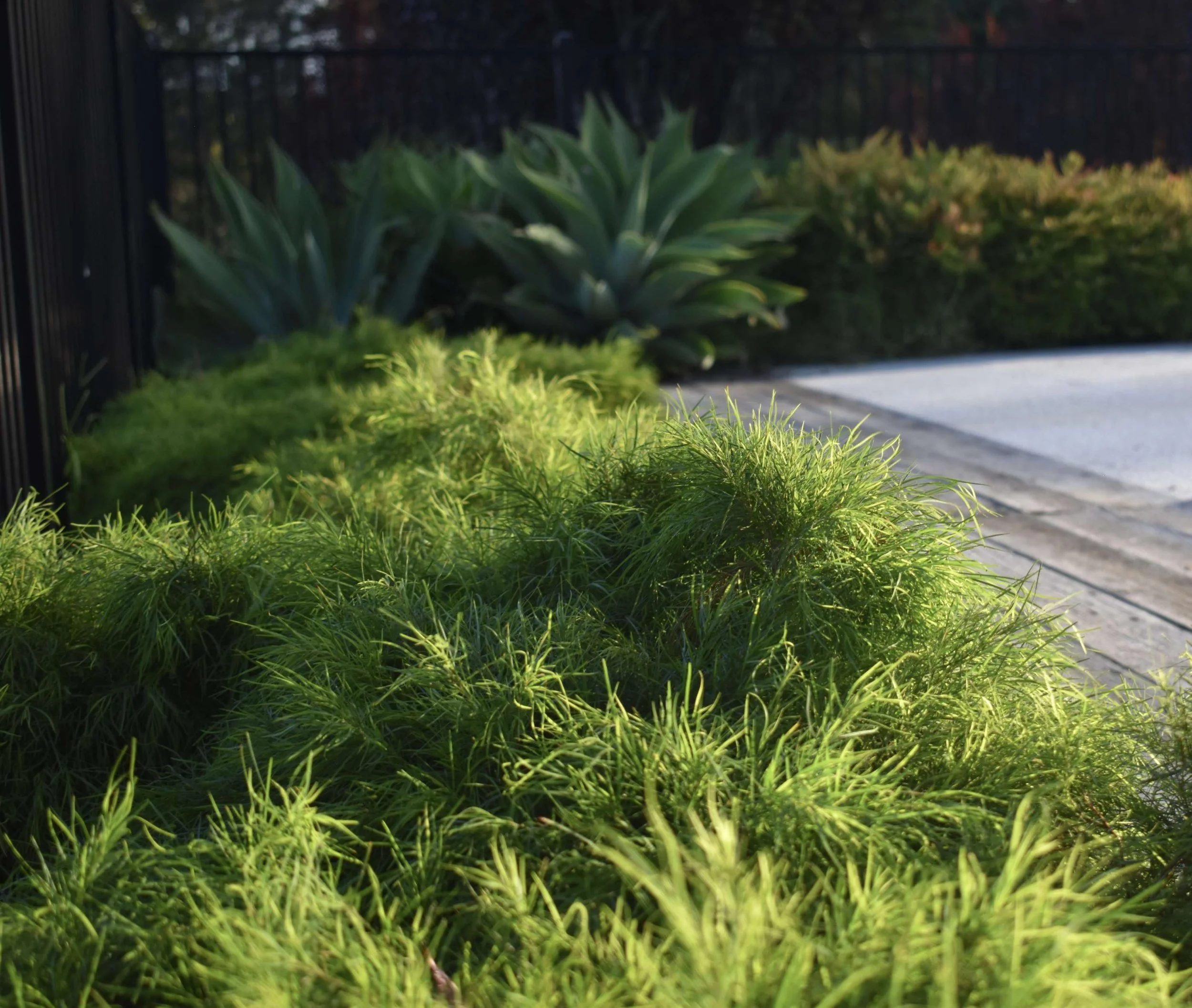 Inside Out Garden Design