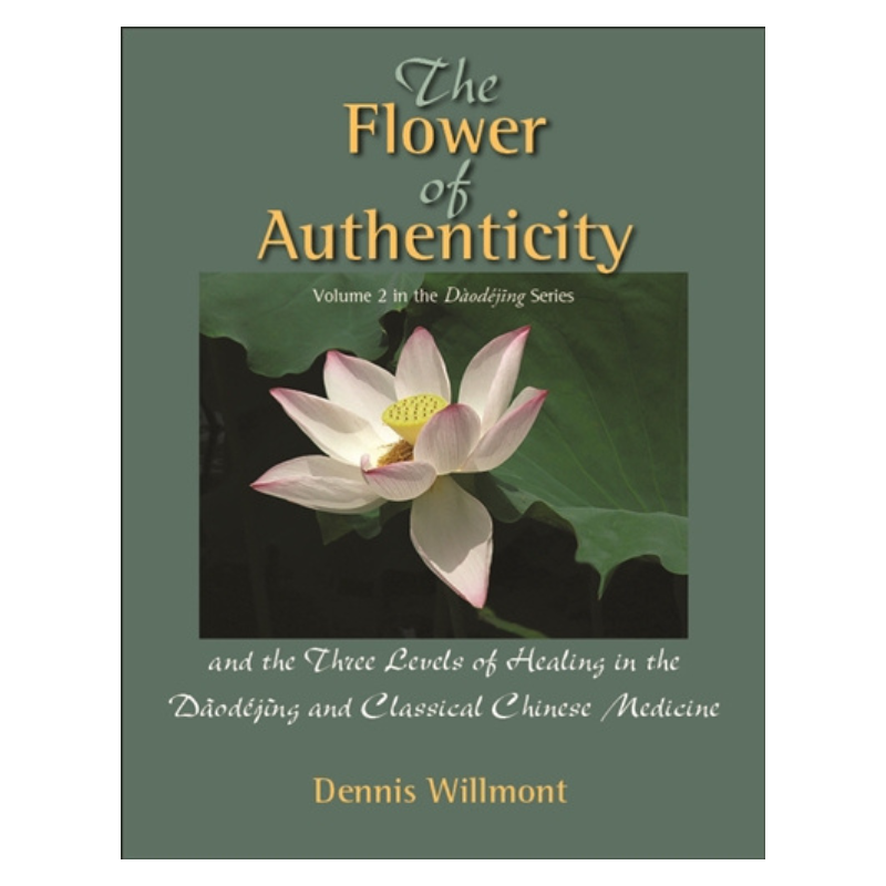 Twelve Spirit Points — Willmountain Press