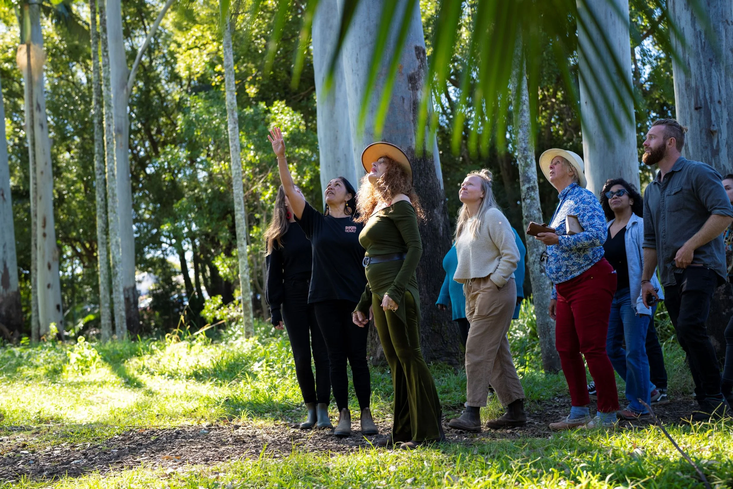 Bangalow Bush Tucker Tours — Explore Byron Bay