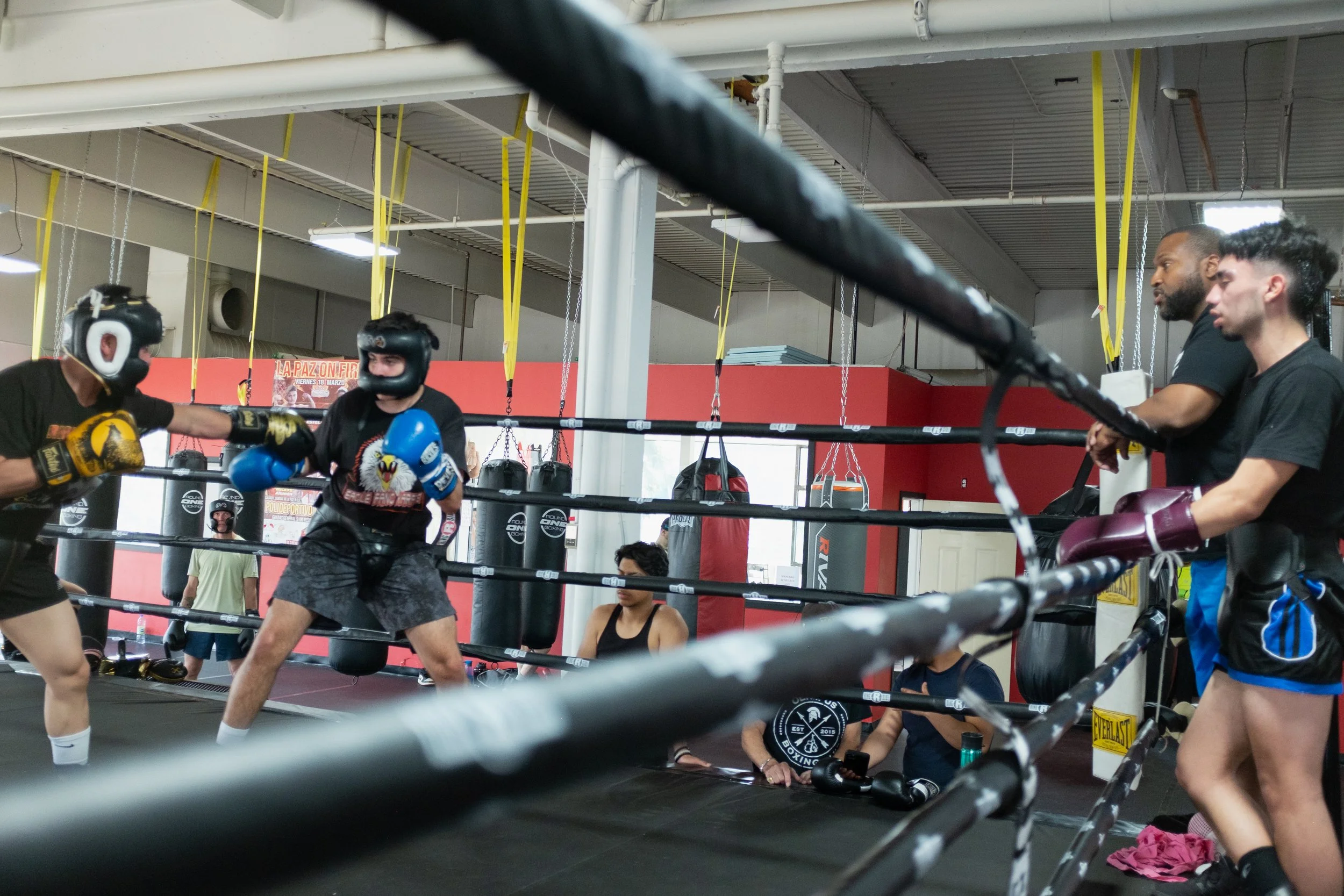 Classes - Calgary Boxing Gym - Olympus Boxing Club and MMA — Olympus ...