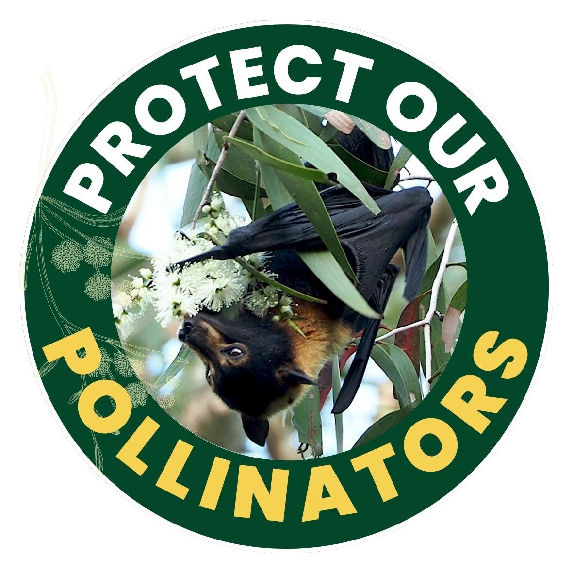 Protect Our Pollinators Campaign — Flying-foxes FNQ