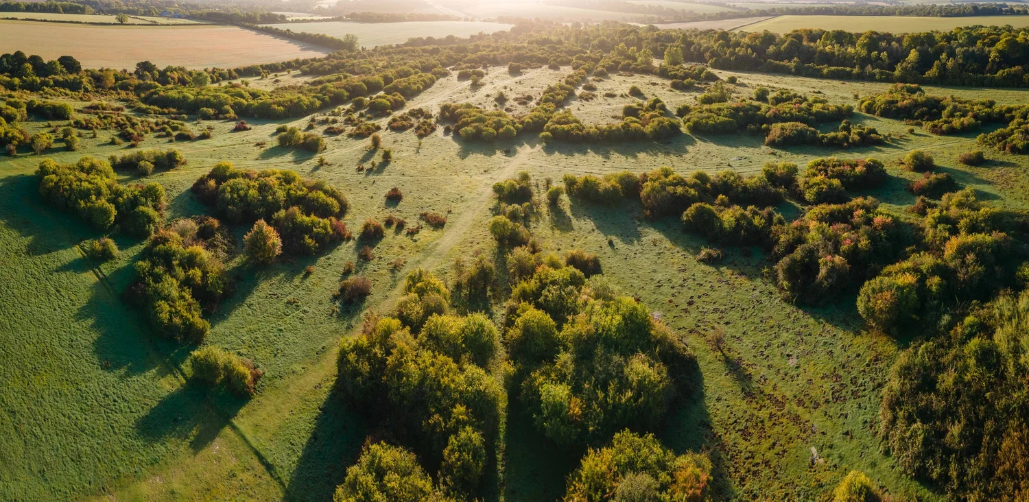 Chalk Grassland Restoration — Winchester to River Test Farm Cluster