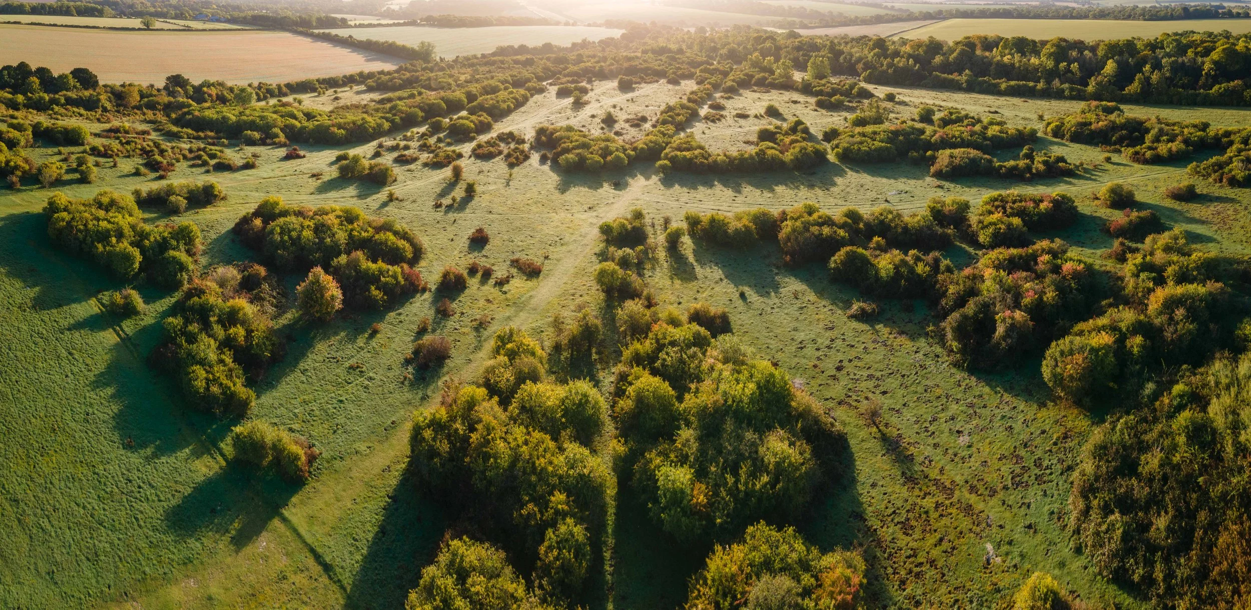 Chalk Grassland Restoration — Winchester to River Test Farm Cluster