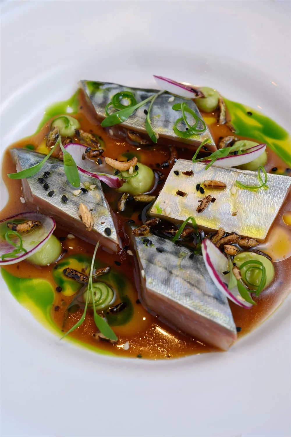 Menus — The Sardine Factory