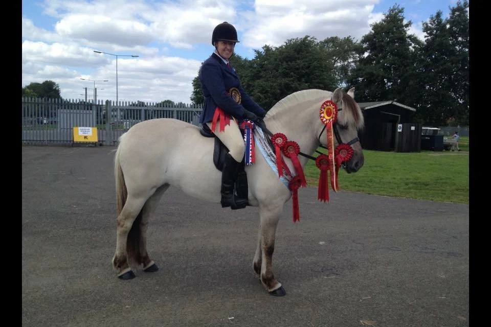 The Native Pony Saddle Company | Discover Premium Pony Saddles Today