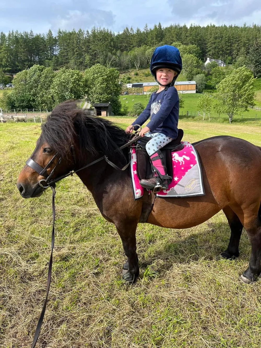 The Native Pony Saddle Company | Discover Premium Pony Saddles Today