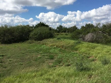 Fort Brown Earthworks — Preservation Texas
