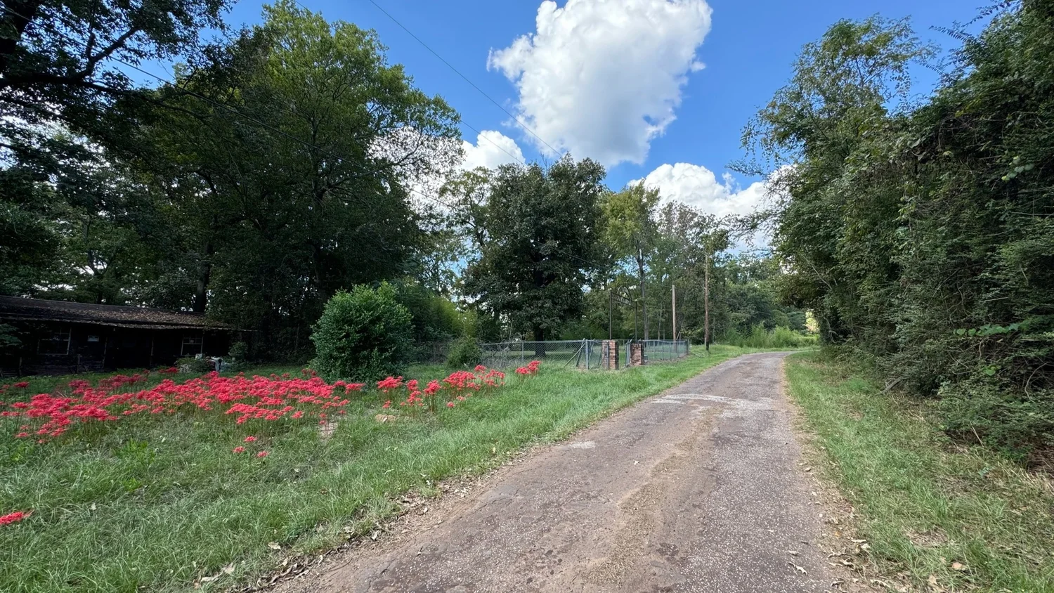 Historic Site Stewardship Services — Preservation Texas