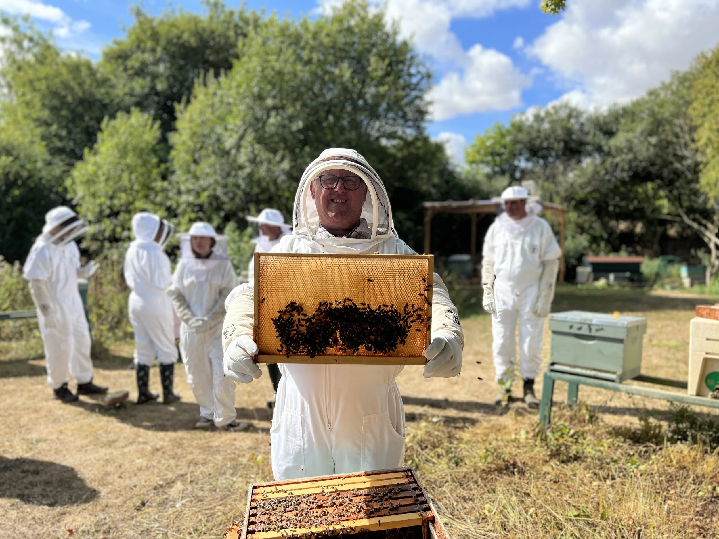 Sunnyfields Apiaries