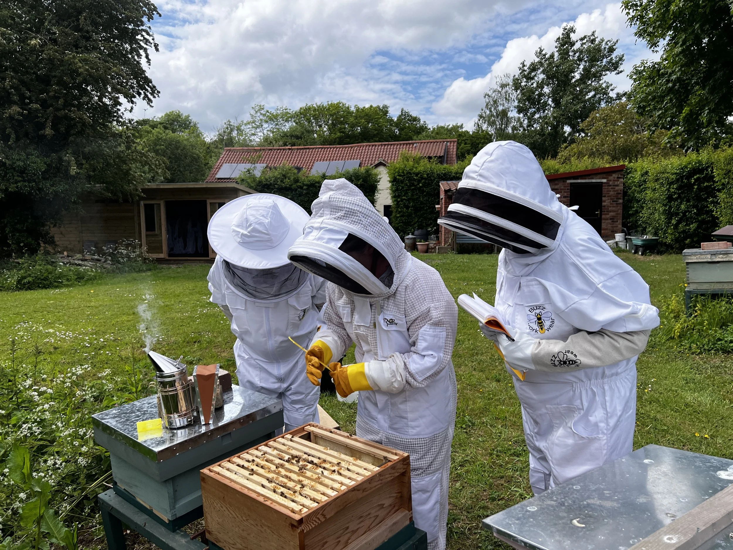 Summer Holiday Special; Family Bee Experience. — Sunnyfields Apiaries