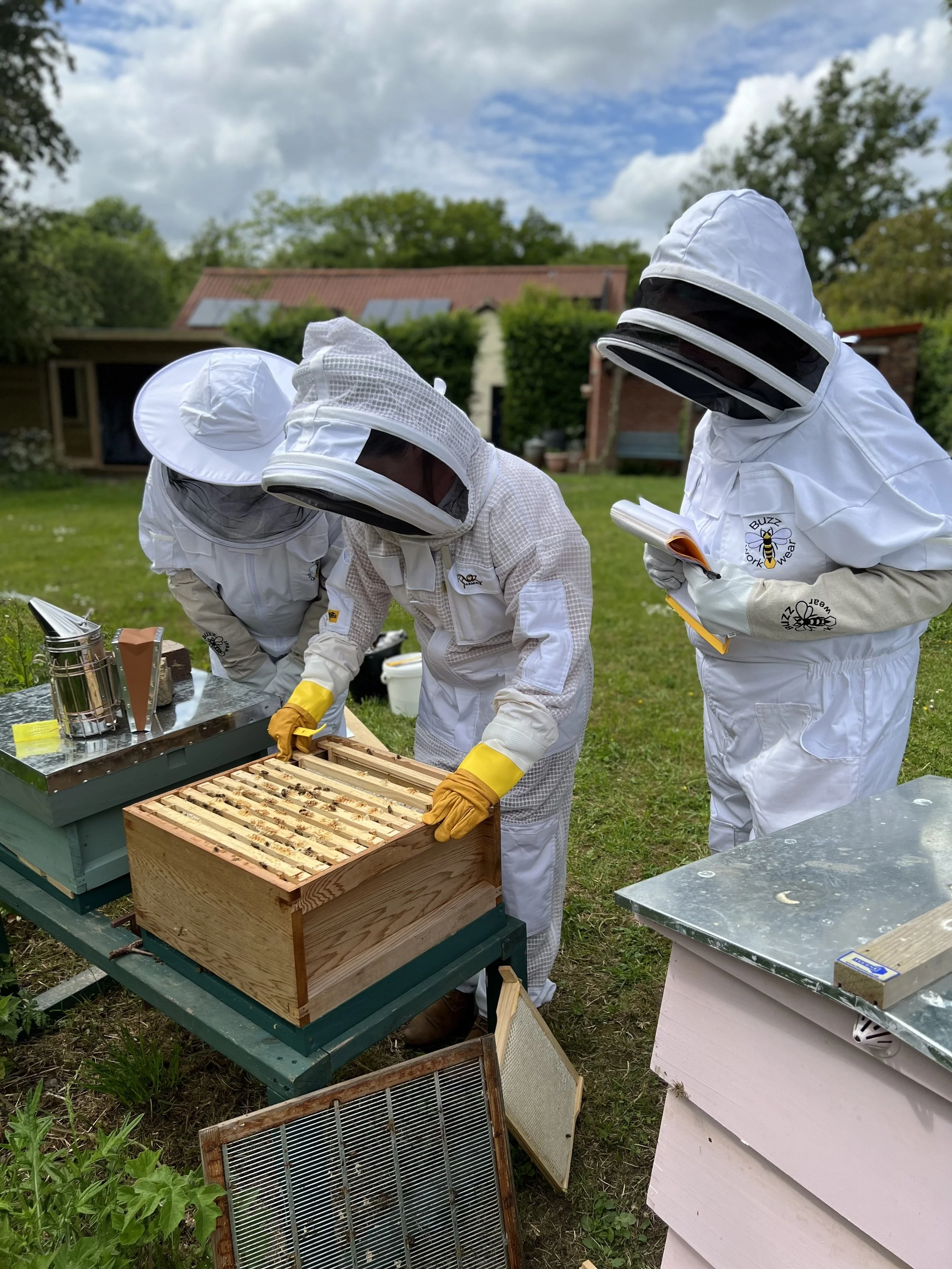Summer Holiday Special; Family Bee Experience. — Sunnyfields Apiaries