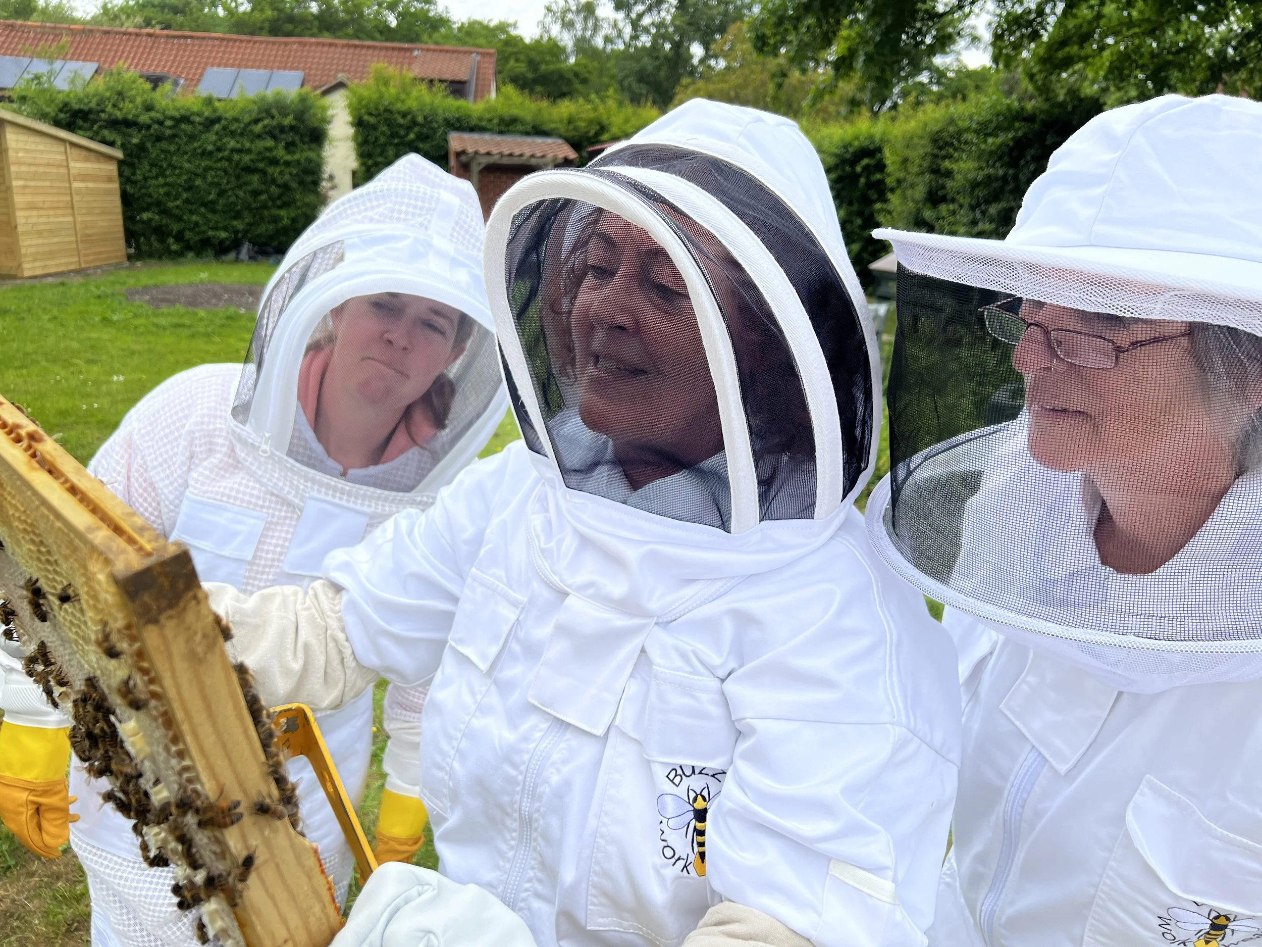 Beekeeper Training — Sunnyfields Apiaries
