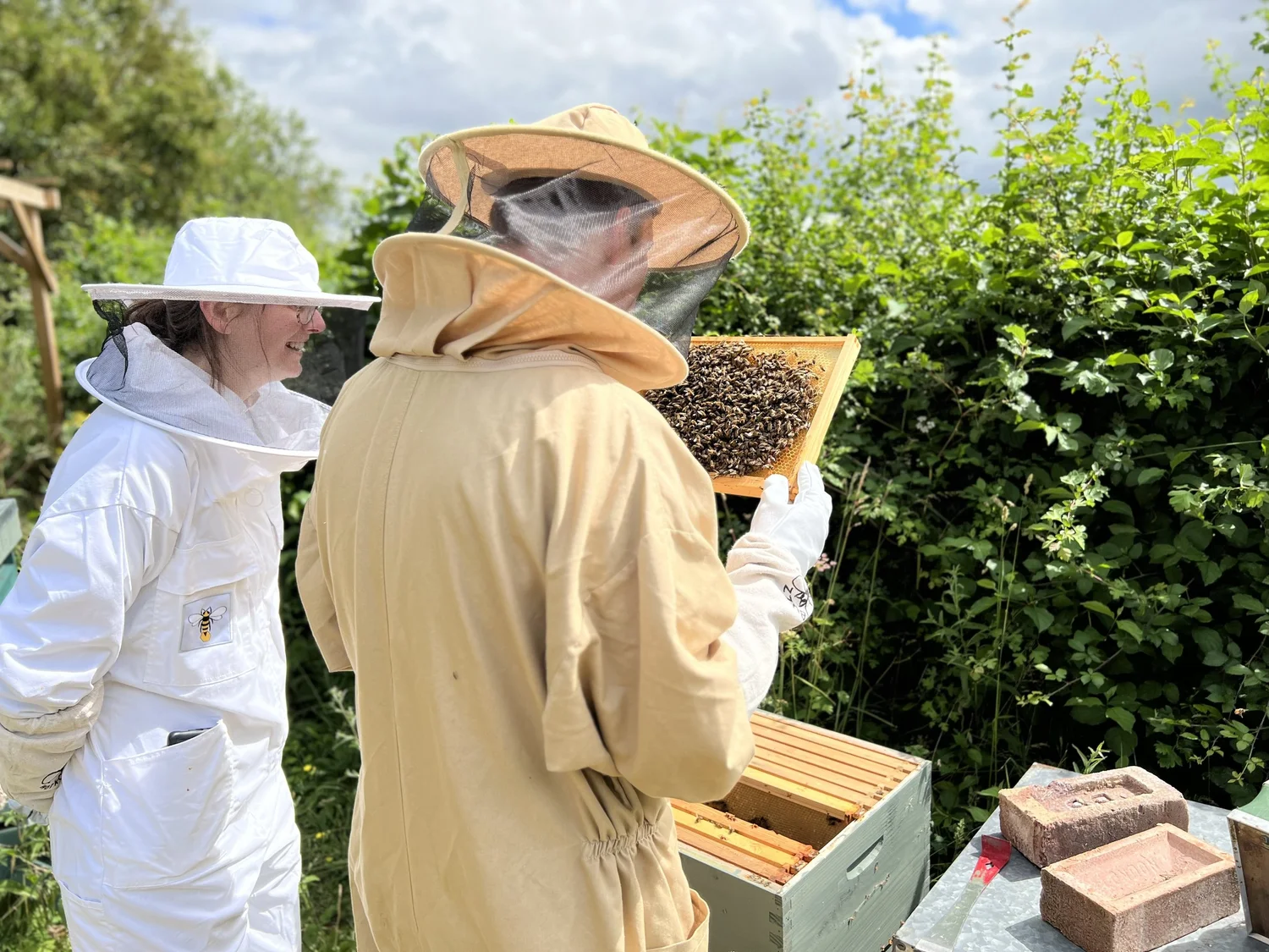 Bee Experiences — Sunnyfields Bees
