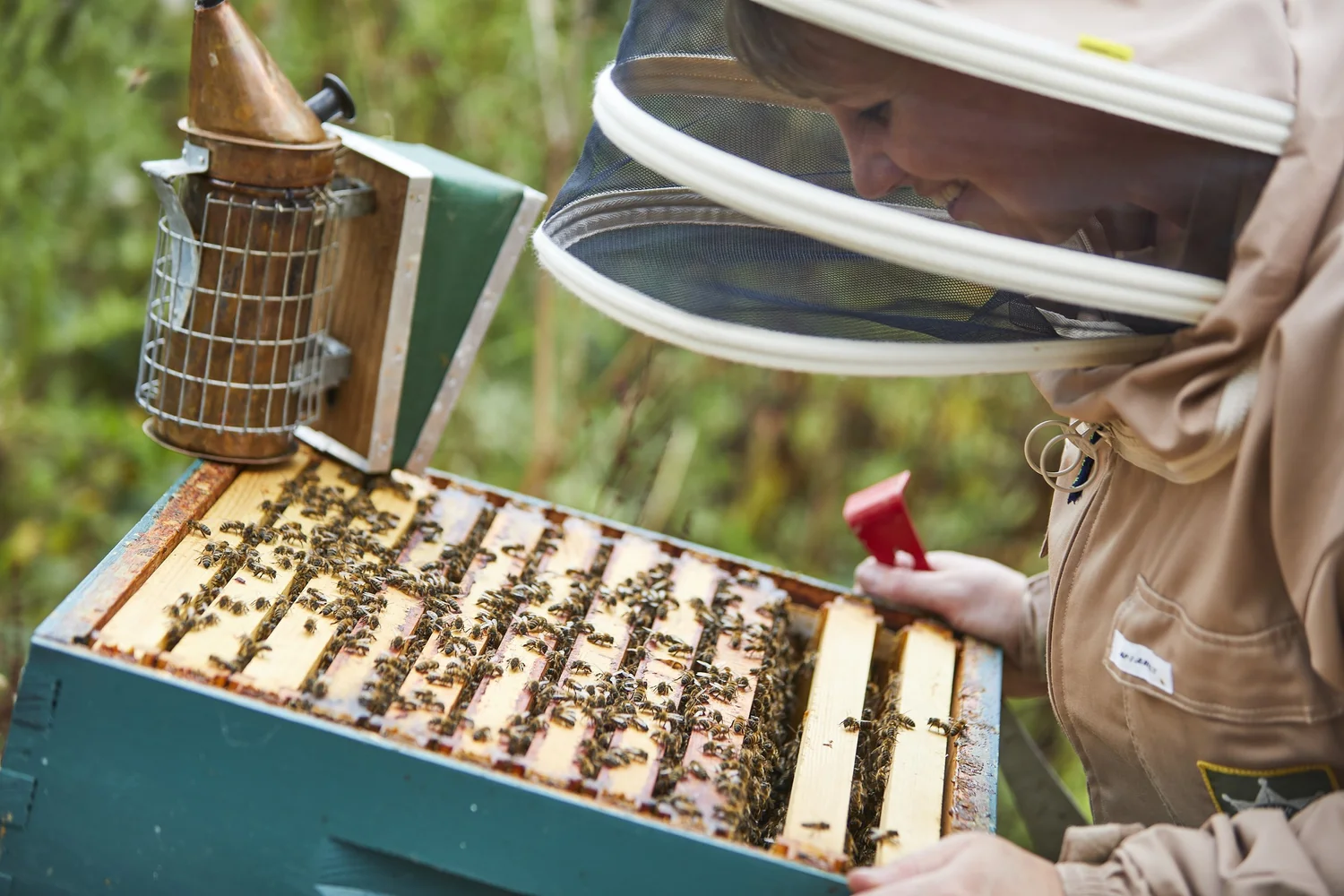Mindfulness & Beekeeping — Sunnyfields Bees